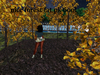 Second Life Marketplace - nice forest grove fat pack 32p boxed