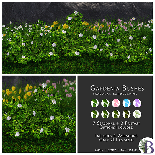 Second Life Marketplace - Bella Botanicals - Gardenia Bushes (add me)