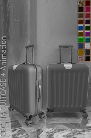 Second Life Marketplace - *.:Dark Cat:.*ACC- CECILIA SUITCASE DEMO
