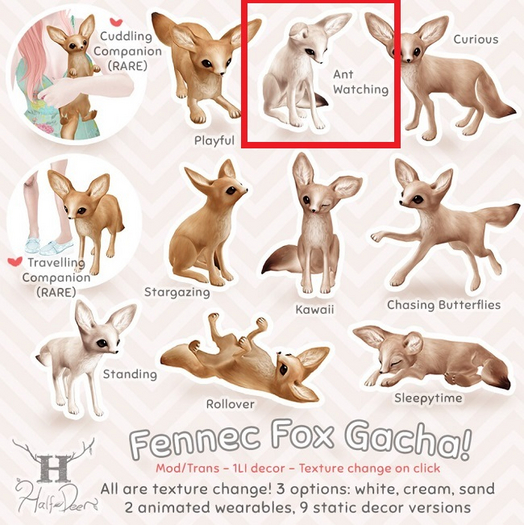 Second Life Marketplace - +Half-Deer+ Fennec Fox - Antwatching