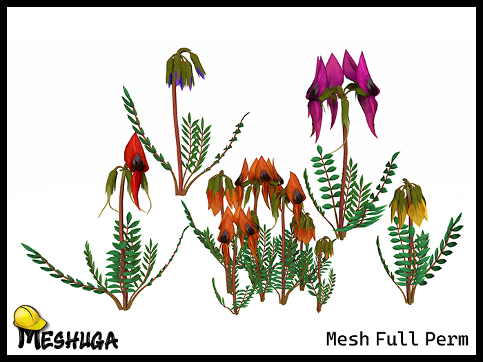 Second Life Marketplace - Meshuga Spring Flowers - Desert Pea Pack FULL ...