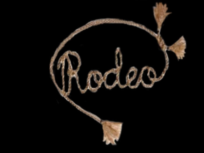 Second Life Marketplace - Rope Art / Rodeo / Hang it on a wall ! Only 1 ...