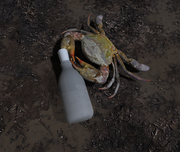 Second Life Marketplace - TLC Beach Animated crab & Bottle 2Li