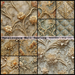 Second Life Marketplace - Renaissance Wall Texture