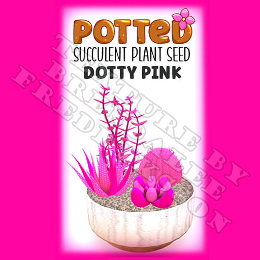 Second Life Marketplace - Potted: Succulent Plant Seed: Dotty Pink ...