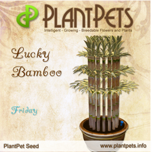 Second Life Marketplace - PlantPet Seed [Lucky Bamboo *Friday*]