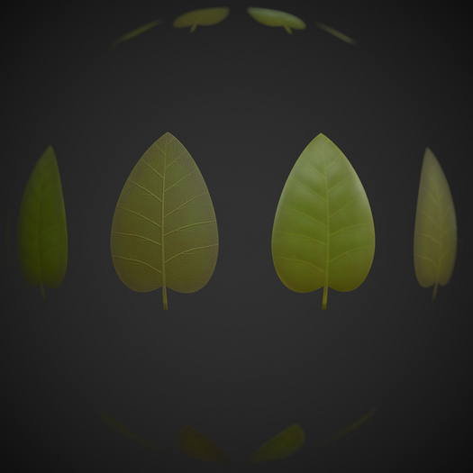 Second Life Marketplace - KCR Creations leaf-front-back full perm pbr