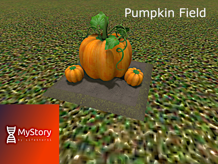 Second Life Marketplace - MyStory Pumpkin Field (Discreet v1.6) (Boxed)