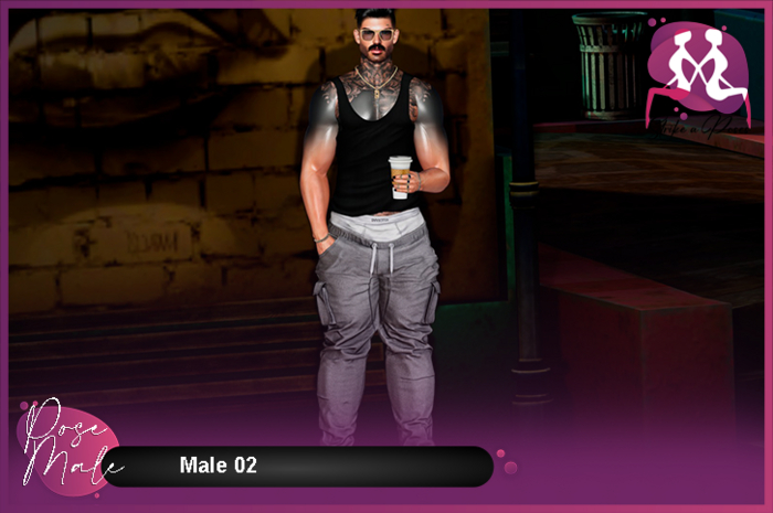 Second Life Marketplace - STRIKE A POSE - Male 02