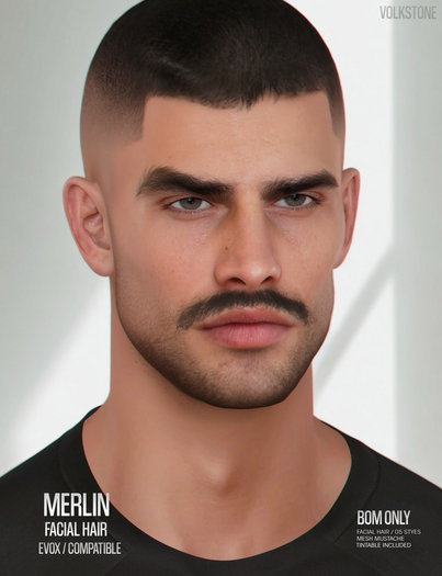 Second Life Marketplace - Volkstone Merlin Facial Hair / FATPACK