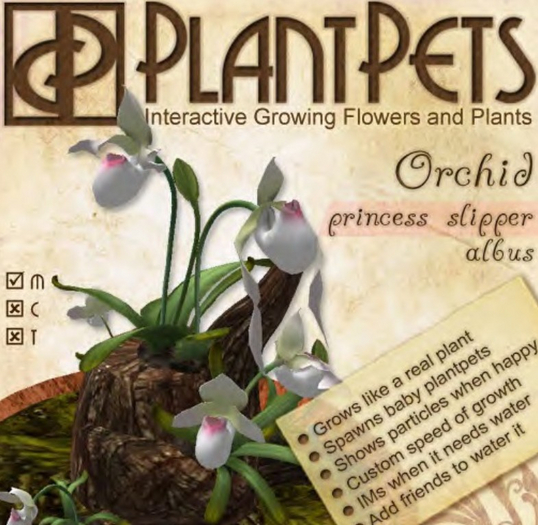 Second Life Marketplace - PlantPet Seed [Princess Slipper Orchid *Albus*]