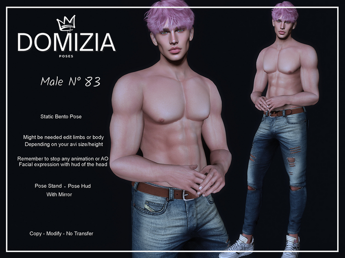 Second Life Marketplace - .::Domizia Poses::. - Male 83