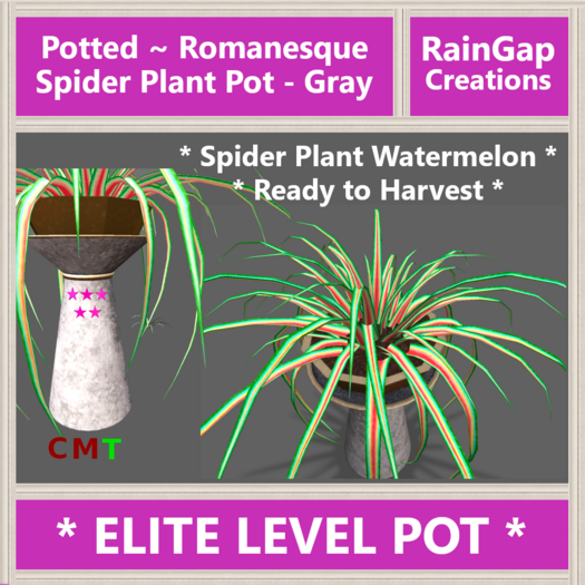 Second Life Marketplace - Potted ~ Romanesque Spider Plant Pot -Gray ...