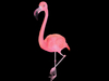 Second Life Marketplace - HB: Flamingo Leg Lift Statue FuLL PERM