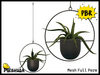 Second Life Marketplace - Meshuga PBR Aloe Vera Plant & Hanging Pot ...