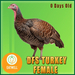 Second Life Marketplace - DFS Turkey Female (Actual Item) 0 - Days Old