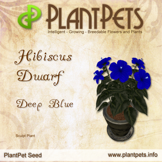 Second Life Marketplace - PlantPet Seed [Hibiscus Dwarf *Deep Blue ...