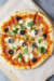 Second Life Marketplace - VeggiePizzaMeal - [MyStory]