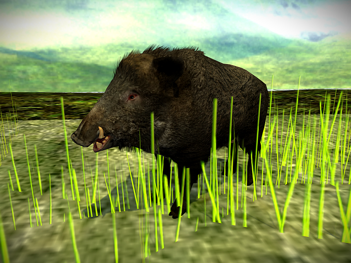 Second Life Marketplace - DFS Boar - Tarsk [Actual Item]