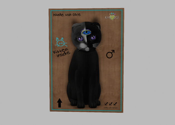 Second Life Marketplace - Male Breedable Cat Kitten Chimera - Black ...