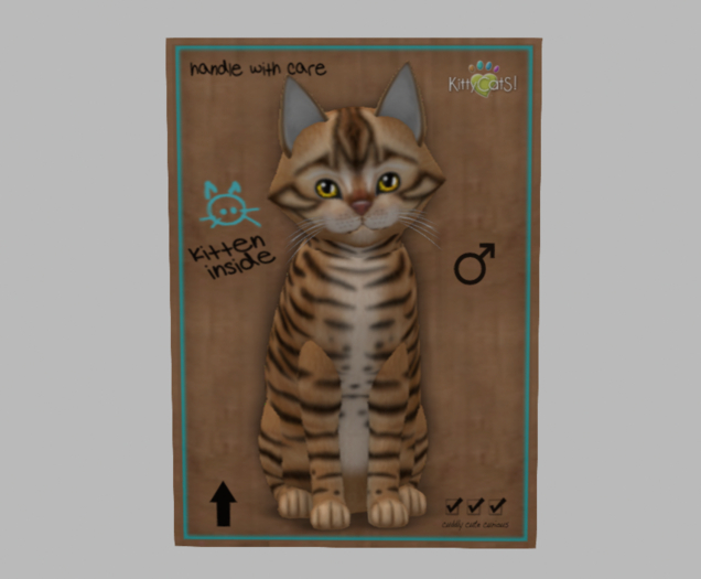 Second Life Marketplace - Male Breedable Cat KittyCatS Toyger - Tan ...