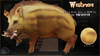 Second Life Marketplace - - UnLeashed - Hoggu- Westmere Pelt