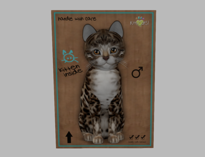 Second Life Marketplace - Male Breedable Cat KittyCatS Bengal - Tawny ...