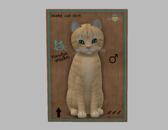 Second Life Marketplace - Male Breedable Cat European Shorthair - Croissant