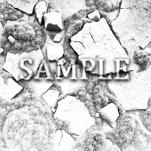 Second Life Marketplace - Zoy Texture [ Mossy Rock Seamless 03 ] D