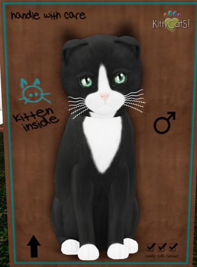 Second Life Marketplace - Chateau Cat - Black & White No. 3