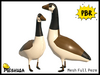 Second Life Marketplace - Meshuga PBR Inflatable Pool Goose FULL PERM MESH
