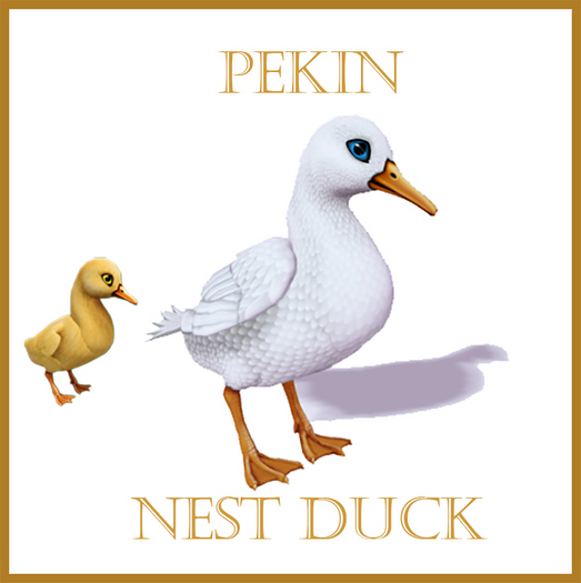 Second Life Marketplace - Amaretto Barnyard Duck Nest Pekin Drake