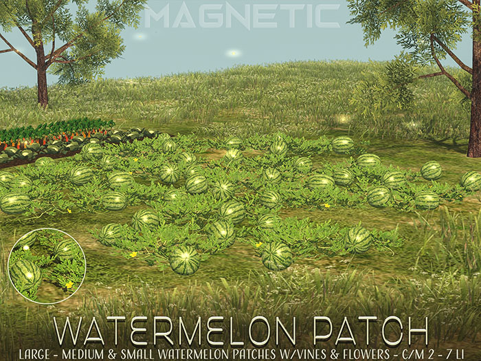 Second Life Marketplace - Magnetic - Watermelon Patch