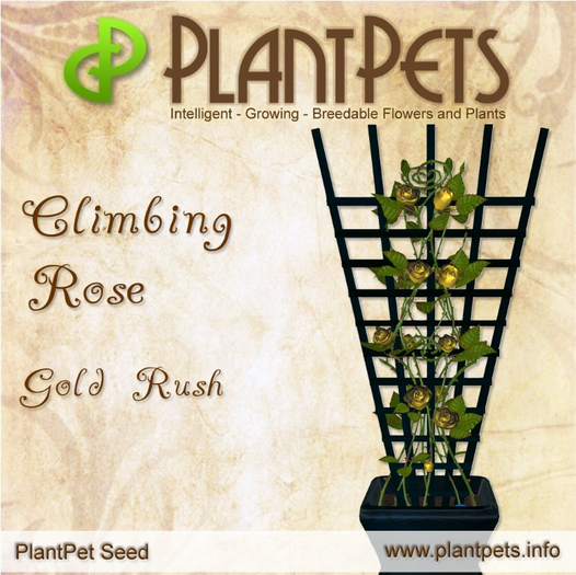 Second Life Marketplace - PlantPet Seed [Climbing Rose *Gold Rush*]