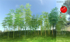 Second Life Marketplace - 8f8 - dreaming of bamboo - ***COLLECTION***