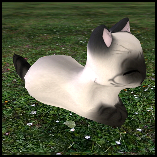 Second Life Marketplace - Stray Cats Unborn Kitten - Lynx Point Siamese ...
