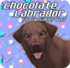 Second Life Marketplace - [ IA, IG ] Chocolate Labrador for TWI Timber Wolf