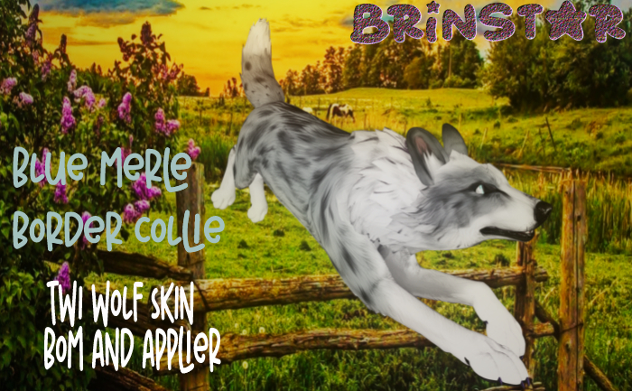 Second Life Marketplace - Brinstar - TWI Wolf - Blue Merle Border ...
