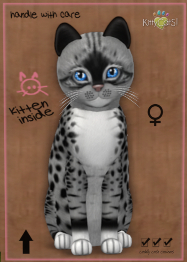 Second Life Marketplace - KittyCatS Box - ♀ New Born Kitten (2 Traits)