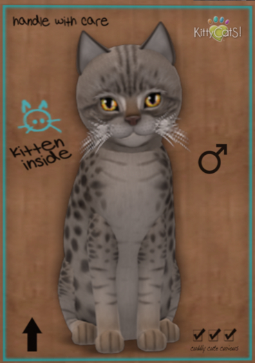 Second Life Marketplace - KittyCatS Box - ♂ New Born Kitten (7 Traits)