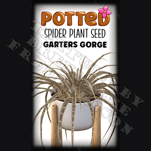 Second Life Marketplace - Potted: Spider Seed: Garters Gorge (ACTUAL ...