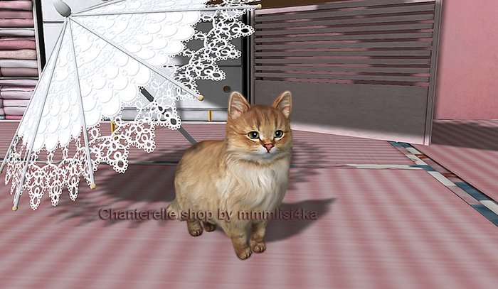 Second Life Marketplace - Birdy. Cabaret- Princess Puss - Ginger [box]