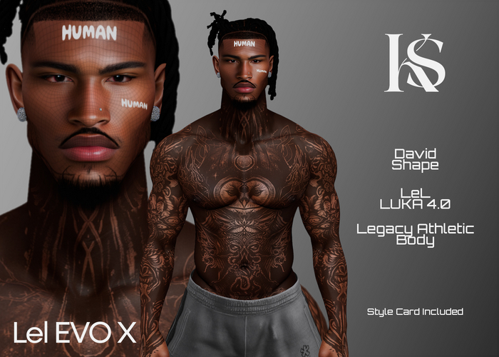 Second Life Marketplace - HAIEK SHAPE - DAVID LUKA LEGACY ATHLETIC