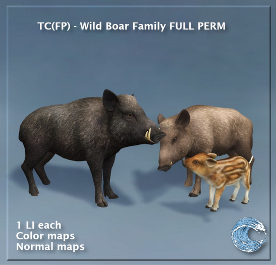 Second Life Marketplace - TC(FP) - Wild Boar Family FULL PERM
