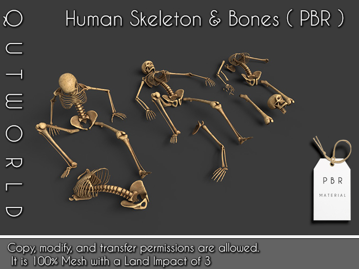 Second Life Marketplace - .::QUTWORLDT Human Skeleton & Bones_PBR::.FP