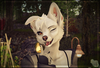 Second Life Marketplace - [FH] Vulpine Head