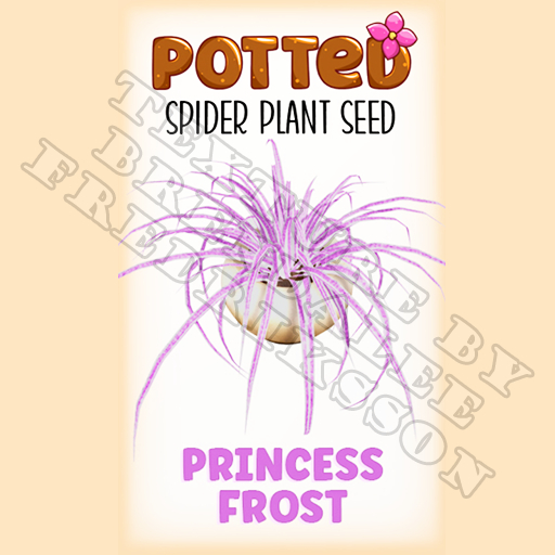 Second Life Marketplace - Potted: Spider Plant Seed: Princess Frost ...