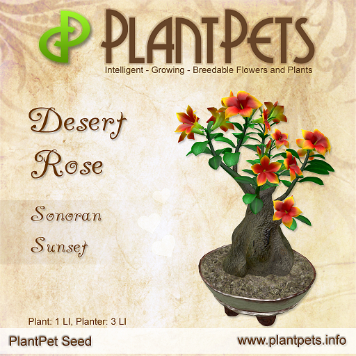 Second Life Marketplace - PlantPet Seed [Desert Rose *Sonoran Sunset*]