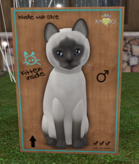 Second Life Marketplace - Siamese - Blue