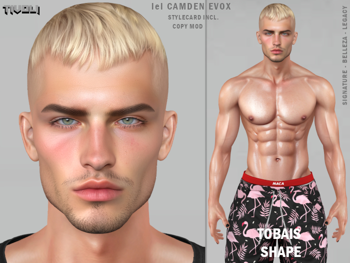 Second Life Marketplace - Camden Shape lelutka Camden Shape 4.0 EVOX / Tivoli Inc